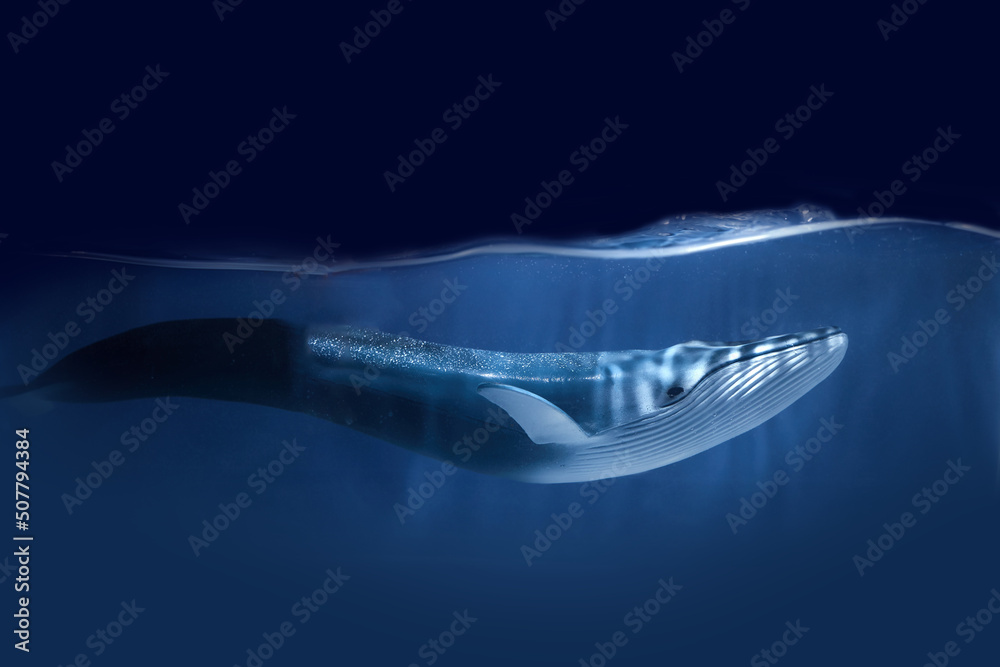 World oceans day. The blue whale swimming near a surface with a view of ...