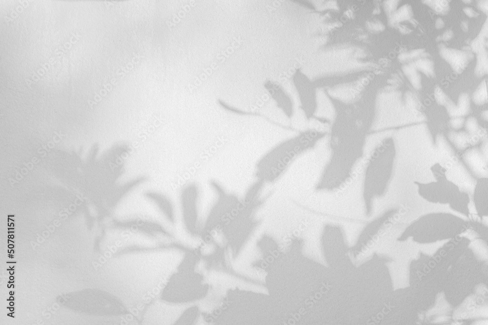Leaf shadow and light on wall background. Nature tropical leaves tree ...