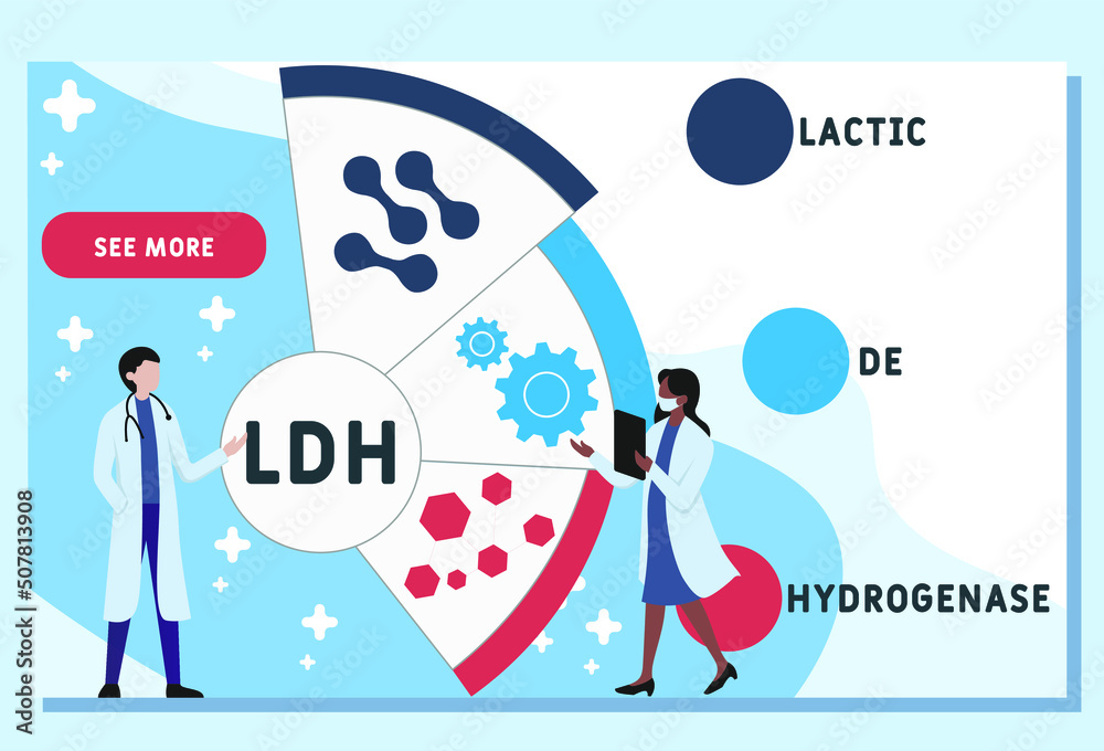 LDH - lactic dehydrogenase acronym. business concept background. vector ...