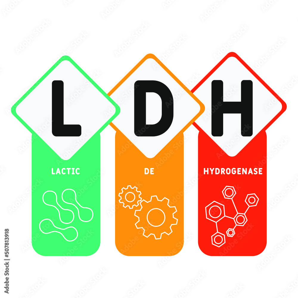 LDH - lactic dehydrogenase acronym. business concept background. vector ...