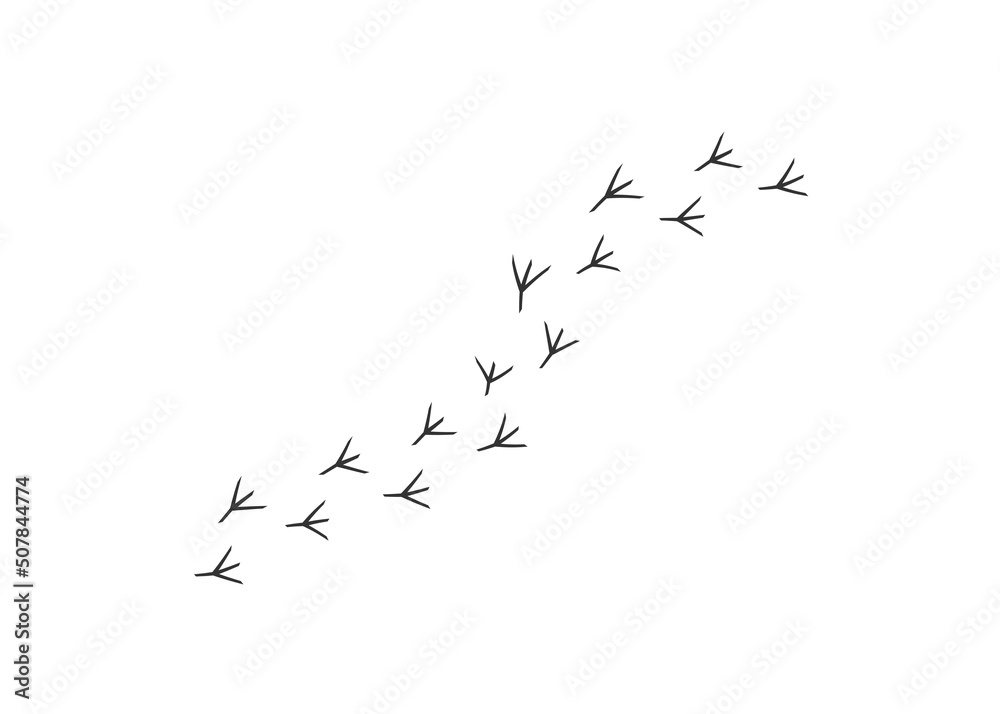 Bird Footprint Art