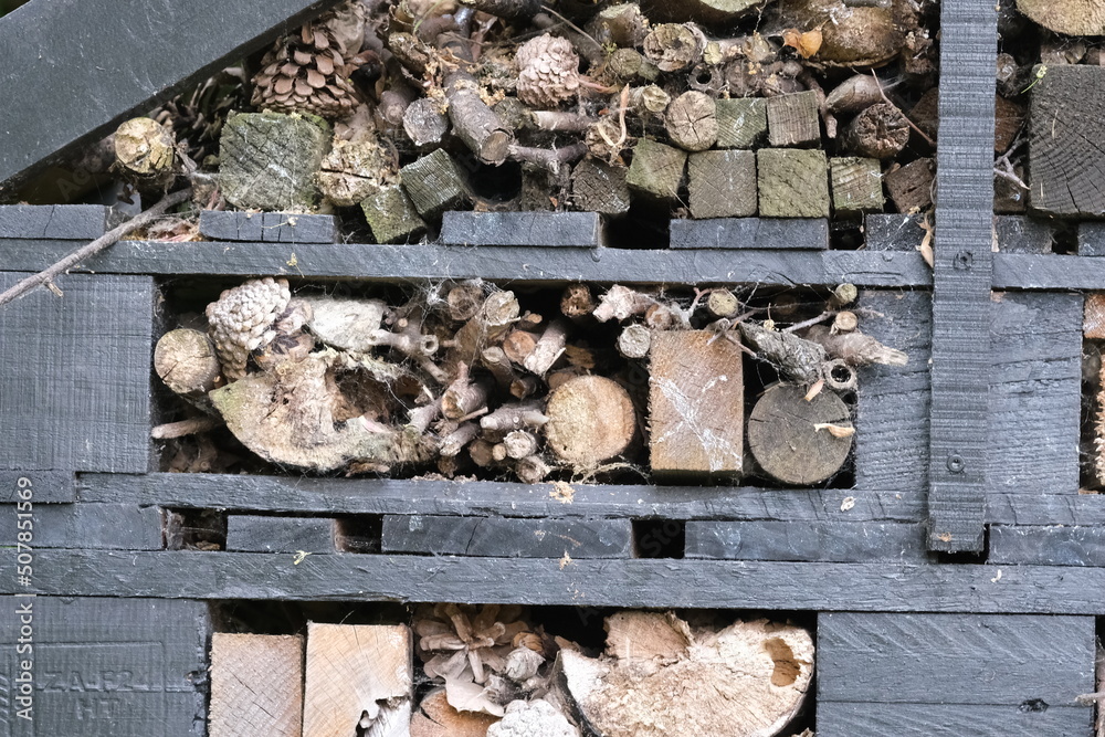 Bug house closeup, selective focus. Insect hotel in British garden ...