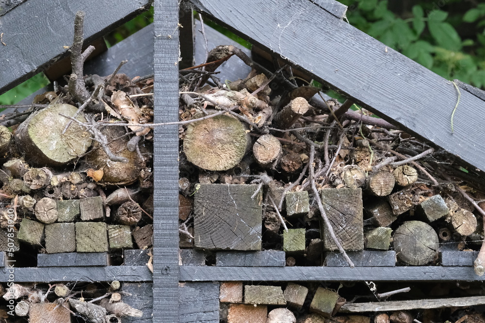 Bug house closeup, selective focus. Insect hotel in British garden ...