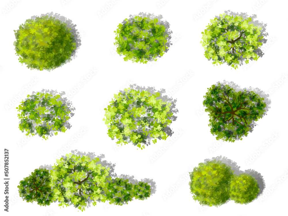 Vector watercolor green tree top view isolated on white background for ...