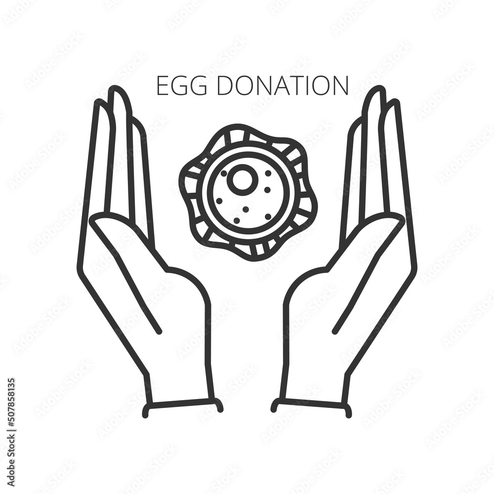 Egg Donation concept line icon. Two hands holding an ovum. An egg cell ...