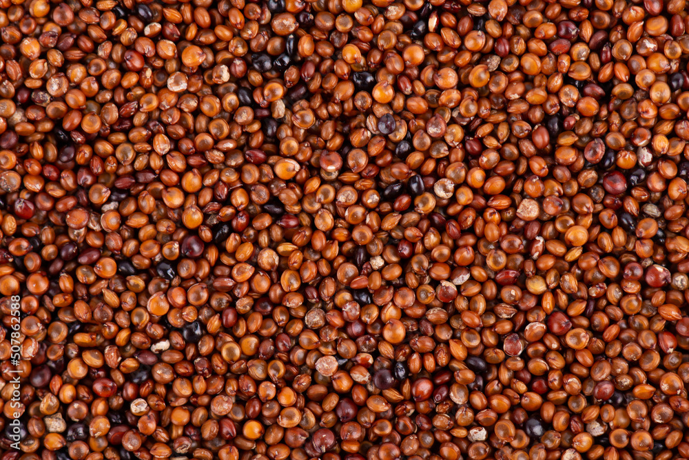 Canihua grains background. Qaniwa, qanawa, qanawi or kaniwa seeds. Dry ...