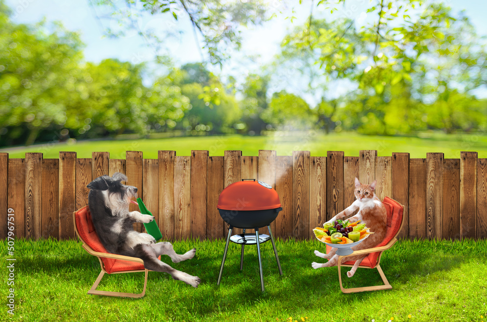 funny cat and dog relaxing at backyard and having picnic with bbq Stock ...
