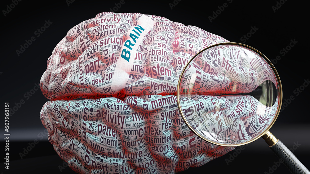 Brain in human brain, a concept showing hundreds of crucial words ...