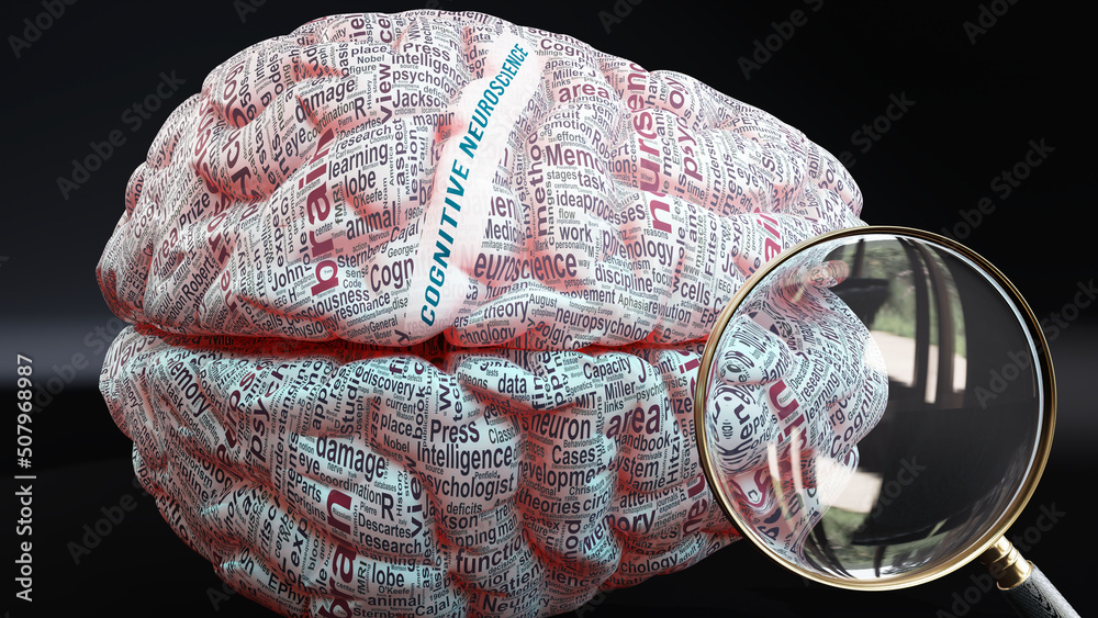 Cognitive neuroscience in human brain, hundreds of terms related to ...