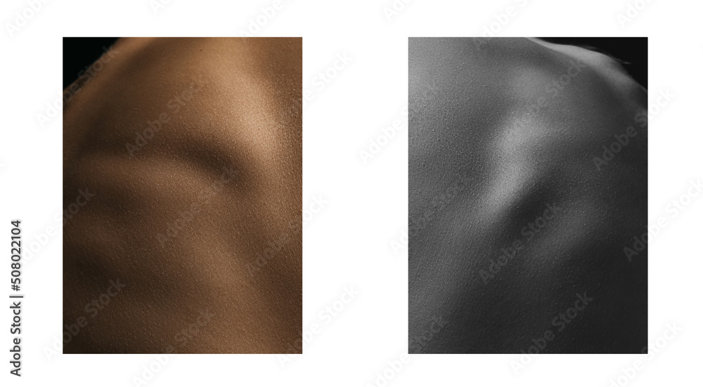 Photoset with closeup images of part of woman's body. Detailed texture ...