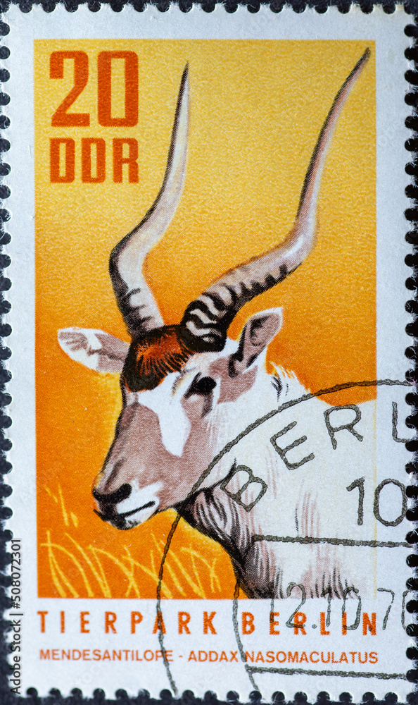 GERMANY, DDR - CIRCA 1970: a postage stamp from GERMANY, DDR, showing a ...