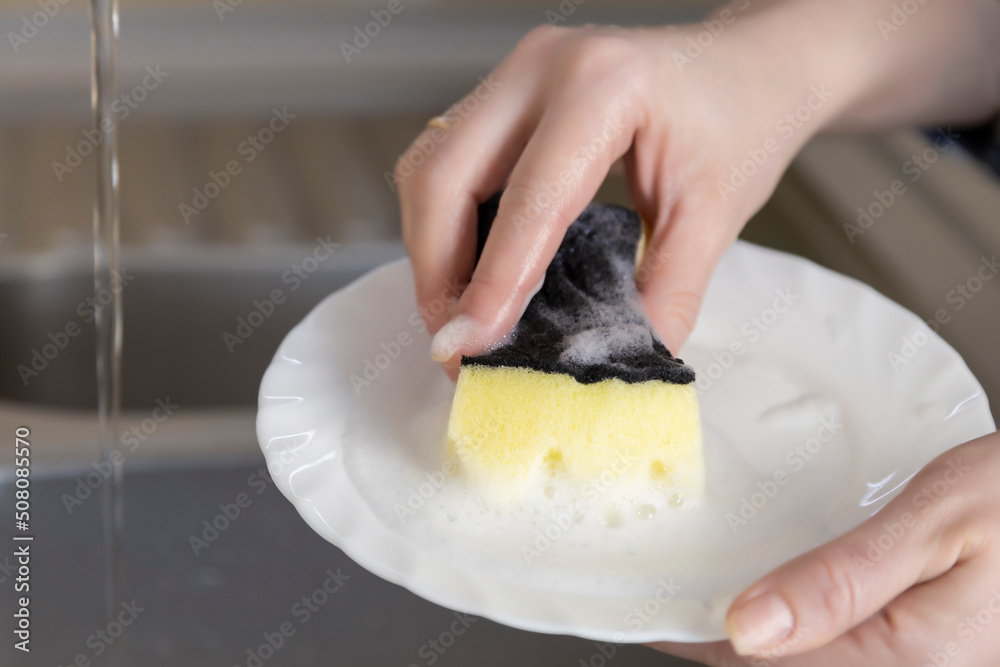 Washing a white plate with a sponge with dishwashing liquid with foam ...