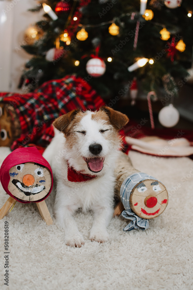 Catalan traditions. Tió de Nadal or Christmas Log. A hollow log wearing ...