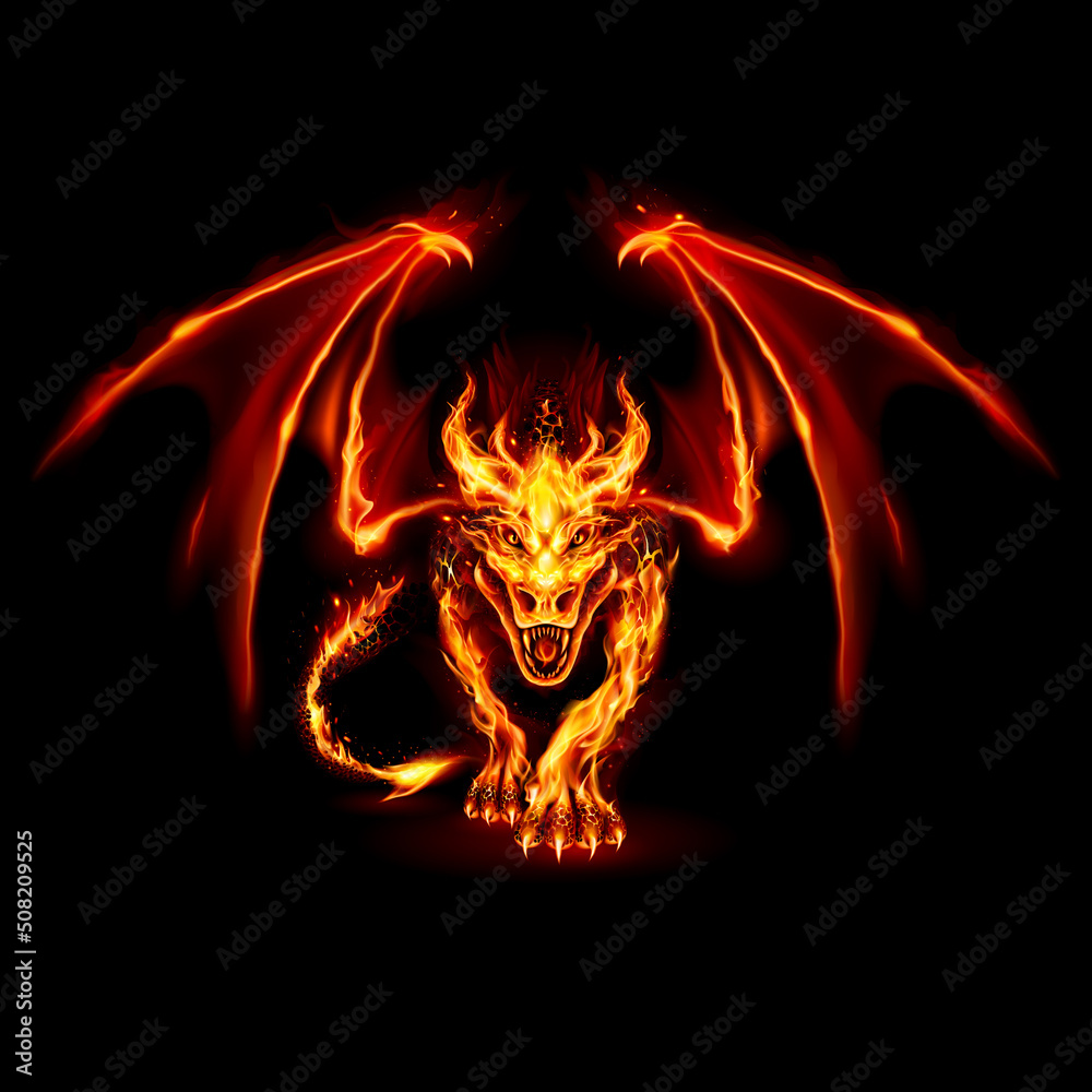 Fire Dragon Drawings In Color