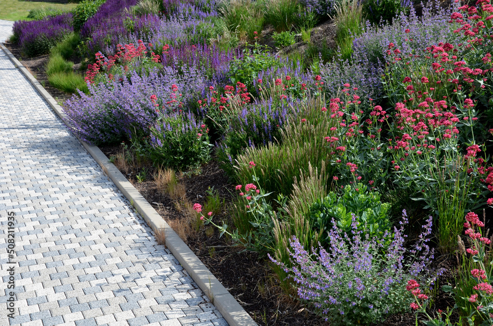 bed of colorful prairie flowers in an urban environment attractive to ...
