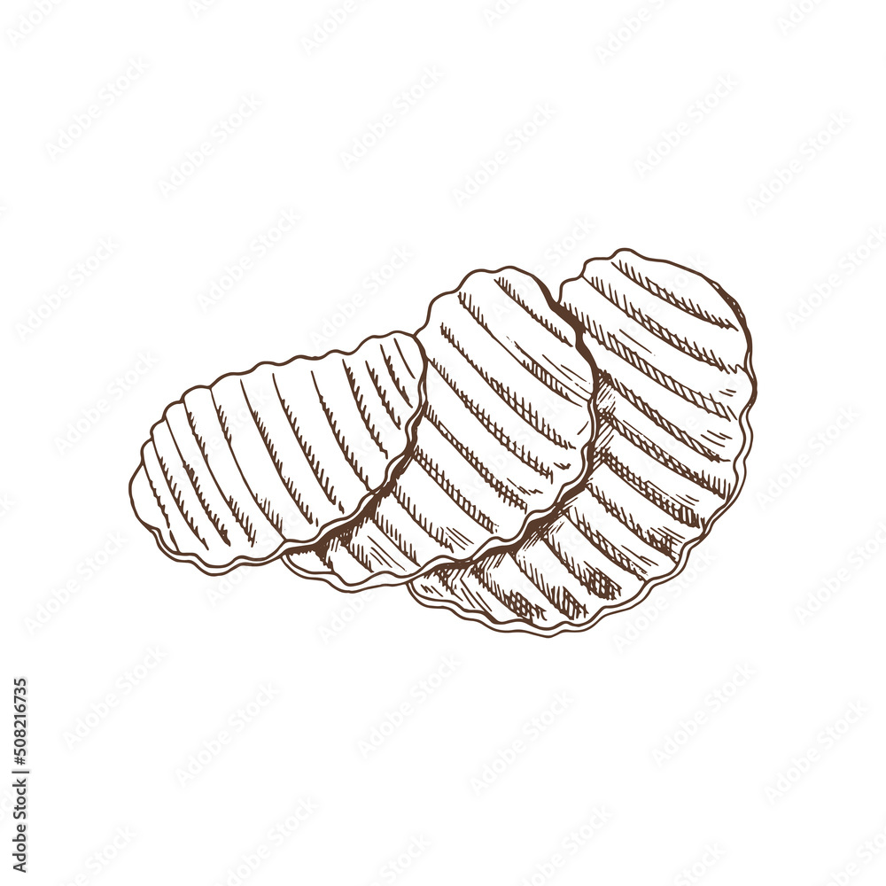 Vector sketch of potato .crisps. Eco food vintage vector illustration ...