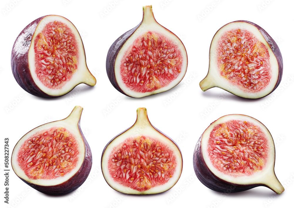Fig half collection. Fig flower with leaves isolated on white. Fig with ...