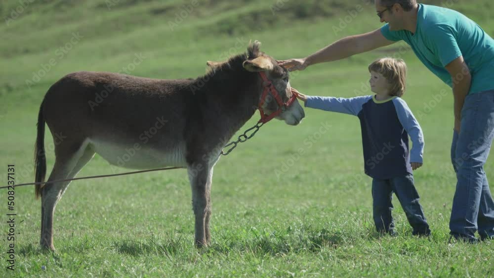 Father and son caressing a donkey at the farm, parent and child take ...