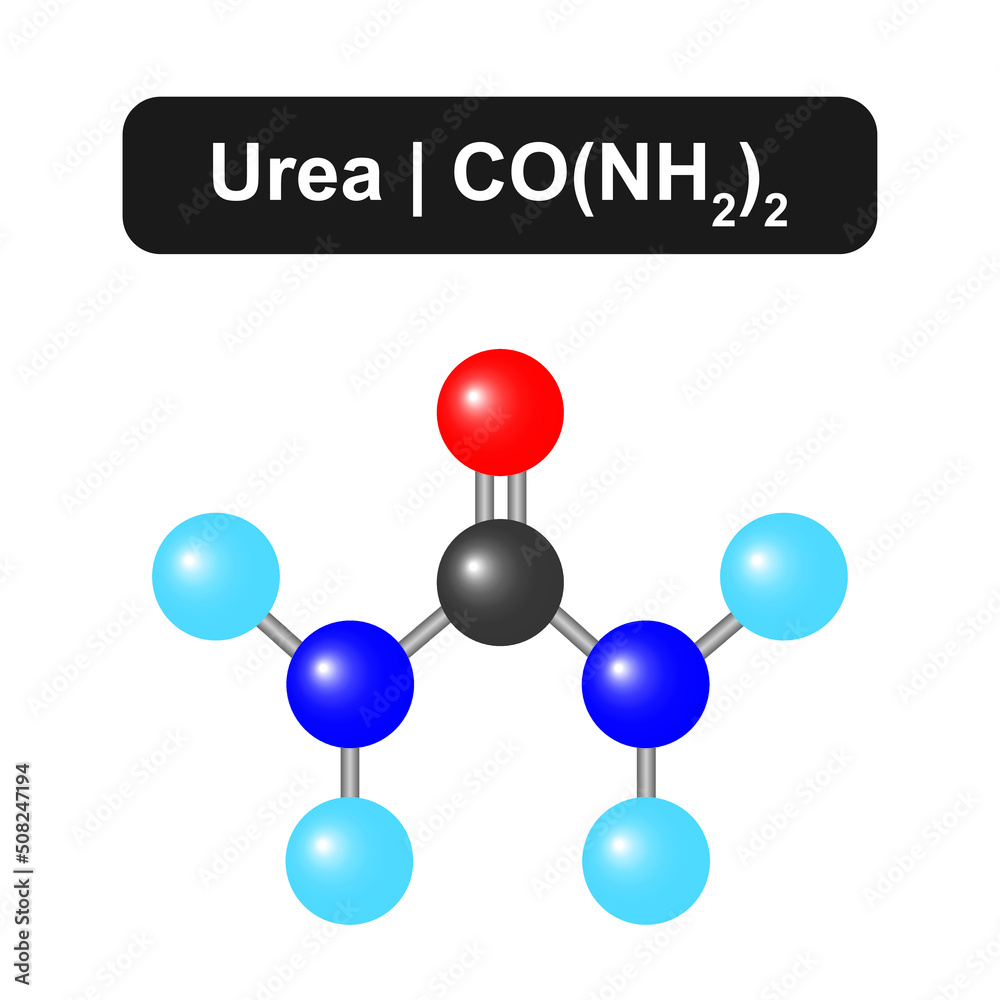 Molecular Model Of Urea (CO(NH2)2) Molecule. Vector Illustration. Stock ...