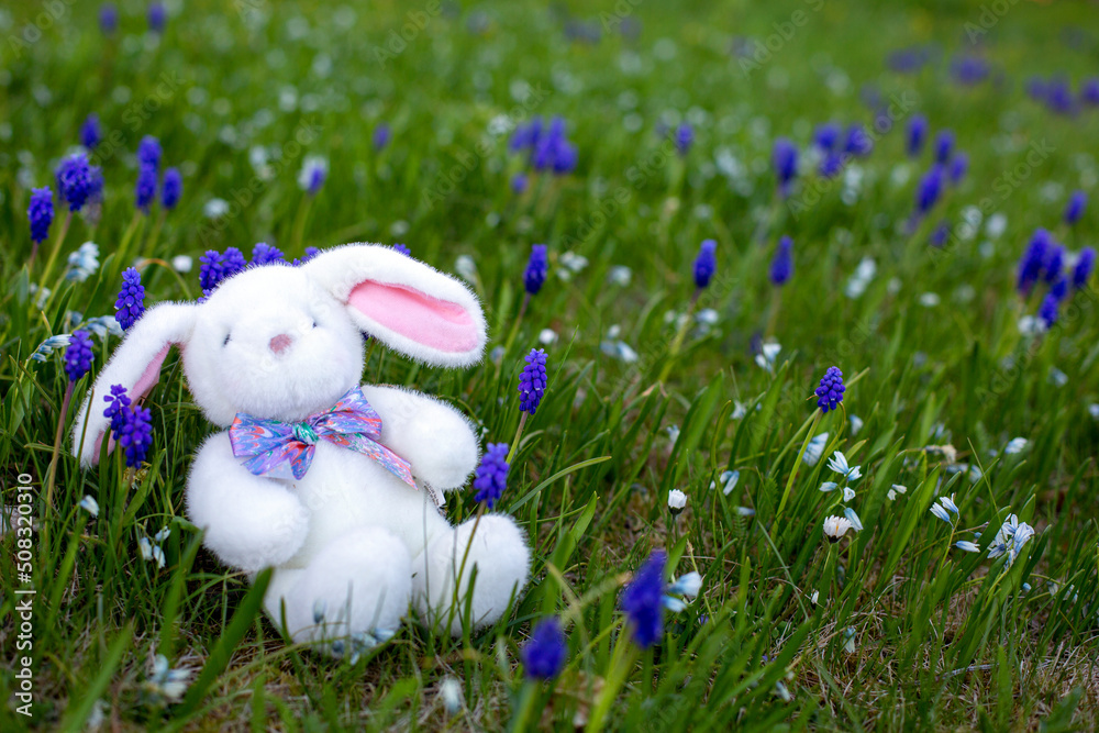 white stuffed bunny sitting outside in a flowerbed Stock Photo | Adobe ...