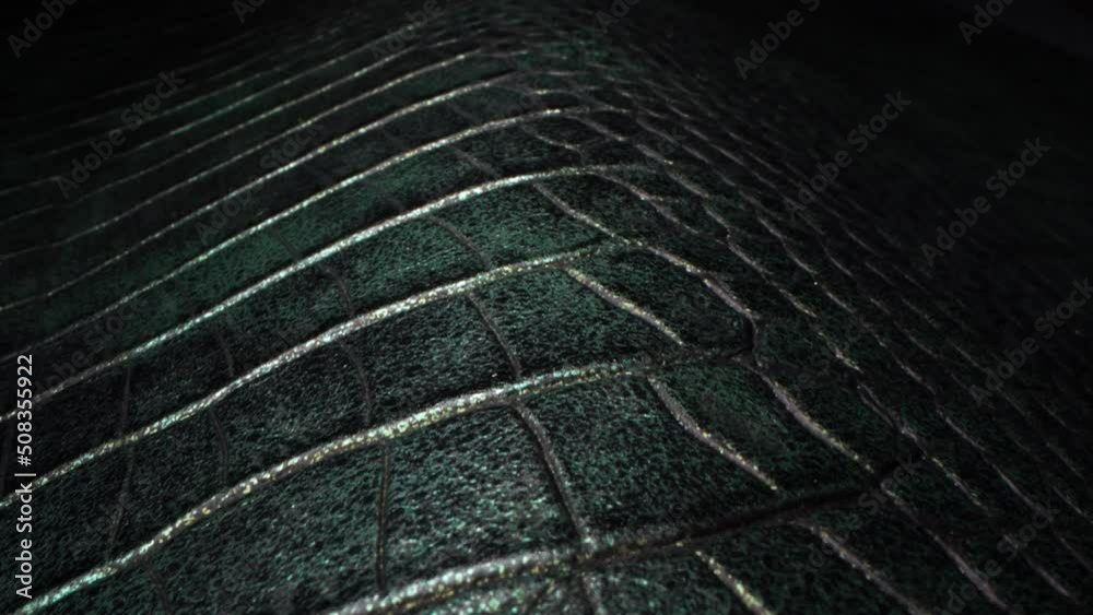 Leather texture close up. Leather clothing and fashion industry Stock ...
