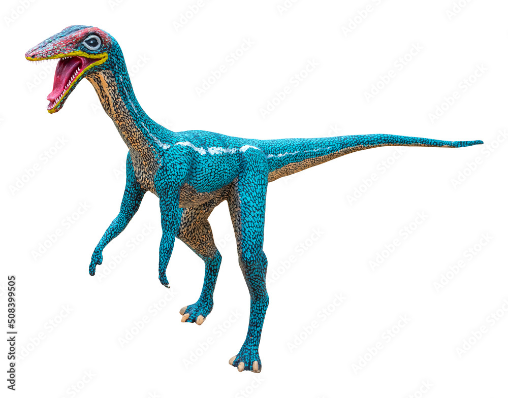 Procompsognathus is a carnivore of coelophysid theropod dinosaur that ...