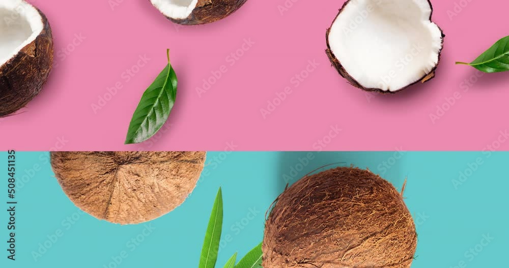 Motion animation with coconut animation on the pink and blue background ...