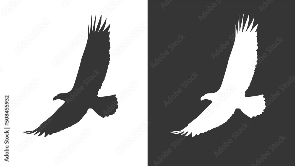 Vector Flying Eagle silhouette Flying bird silhouette Stock Vector ...