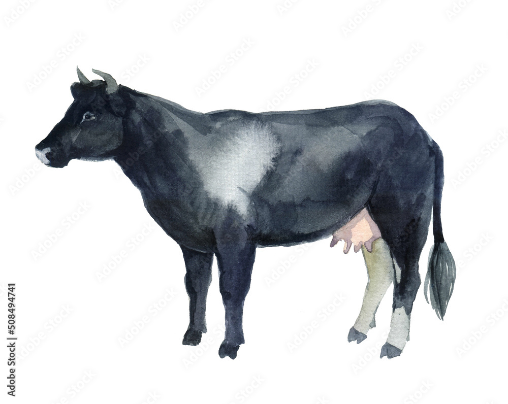 cow drawing, cow farm, wild, concept illustrations, cute, drawn ...