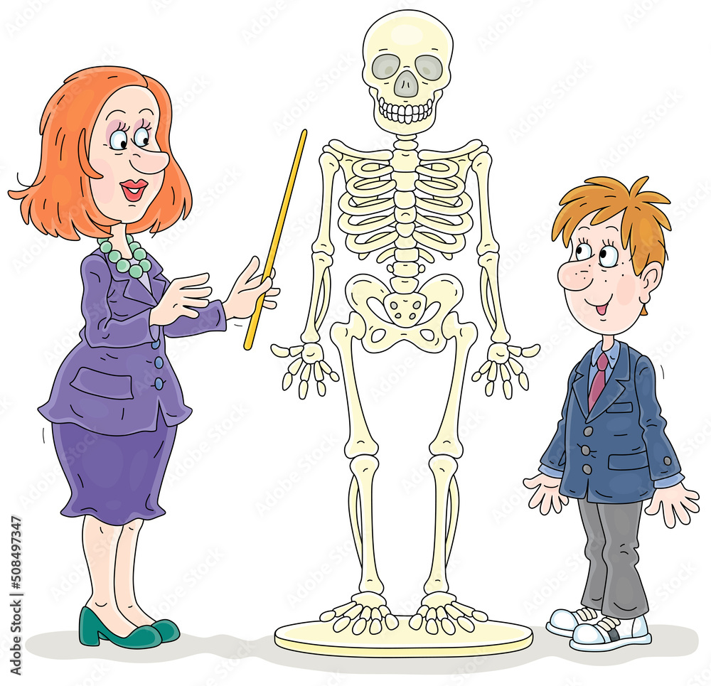 School teacher and a funny schoolboy studying a structure of a human ...