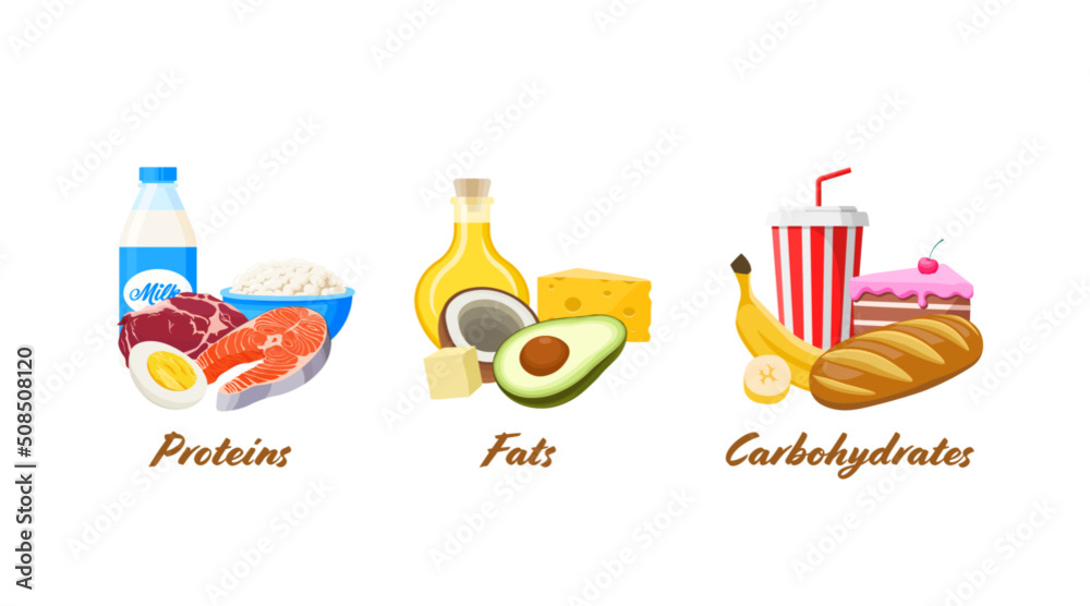Set of big 3 macronutrients foods in cartoon style. Vector illustration ...