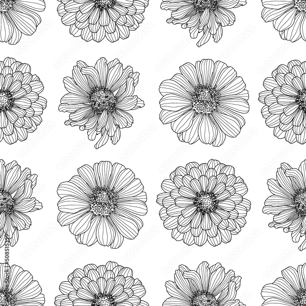 Regular seamless pattern from Zinnia flower heads drawings in black ...