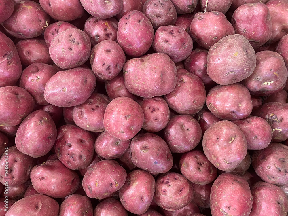 A closeup of red bliss potatoes Stock Photo | Adobe Stock