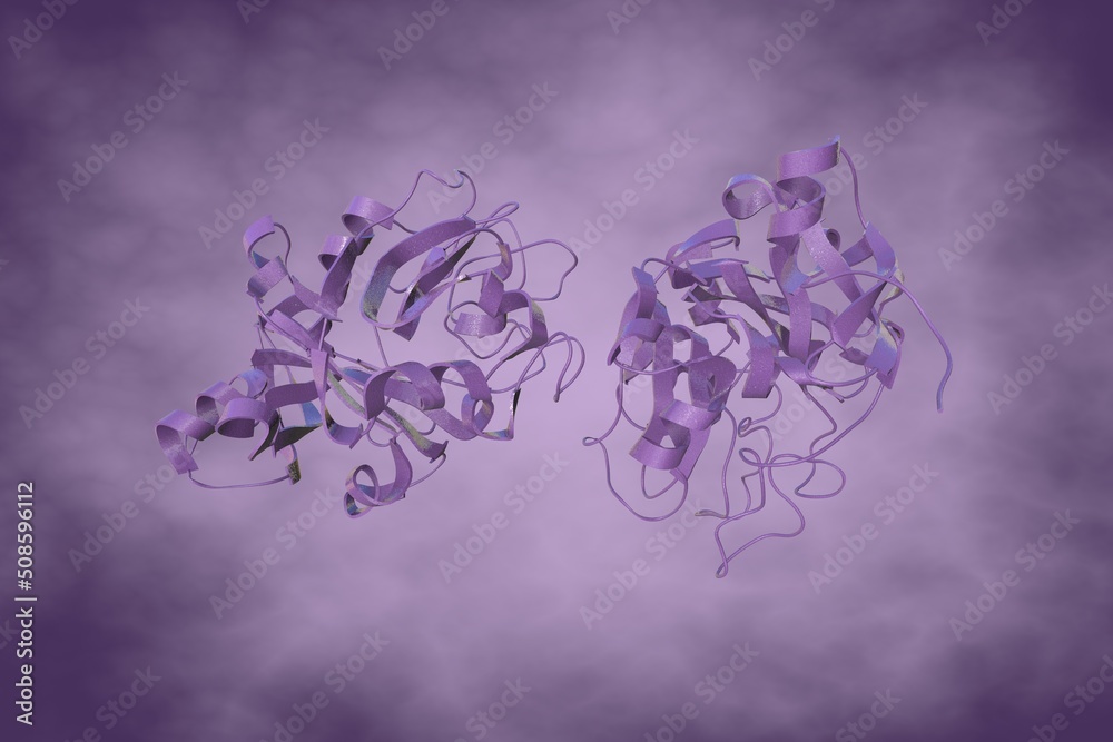 Crystal structure of human intelectin-1 or omentin. Ribbons diagram in ...