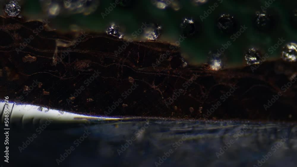 Wideo Stock: Nanostructures of a modern processor under a microscope ...