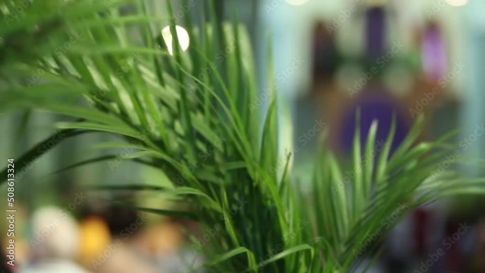 Holy Week Palm Sunday - religious symbol Stock Video | Adobe Stock