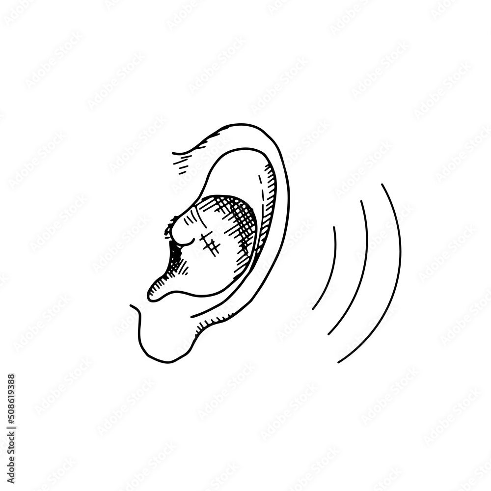 Doodle human ear listening sounds. Hand drawn hearing symbol. Vector ...