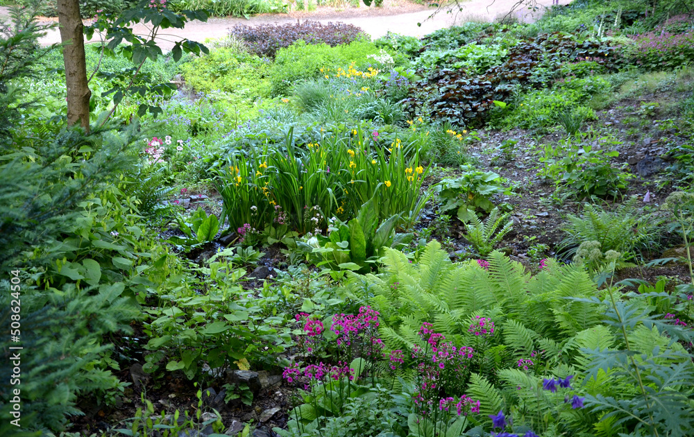 a garden of a shady nature by a stream flowing into a paved stream ...