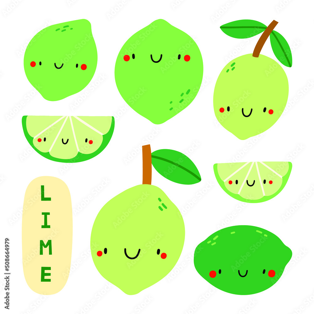 Super cute vector set - different hand drawn Limes. Seasonal Lime fruit ...