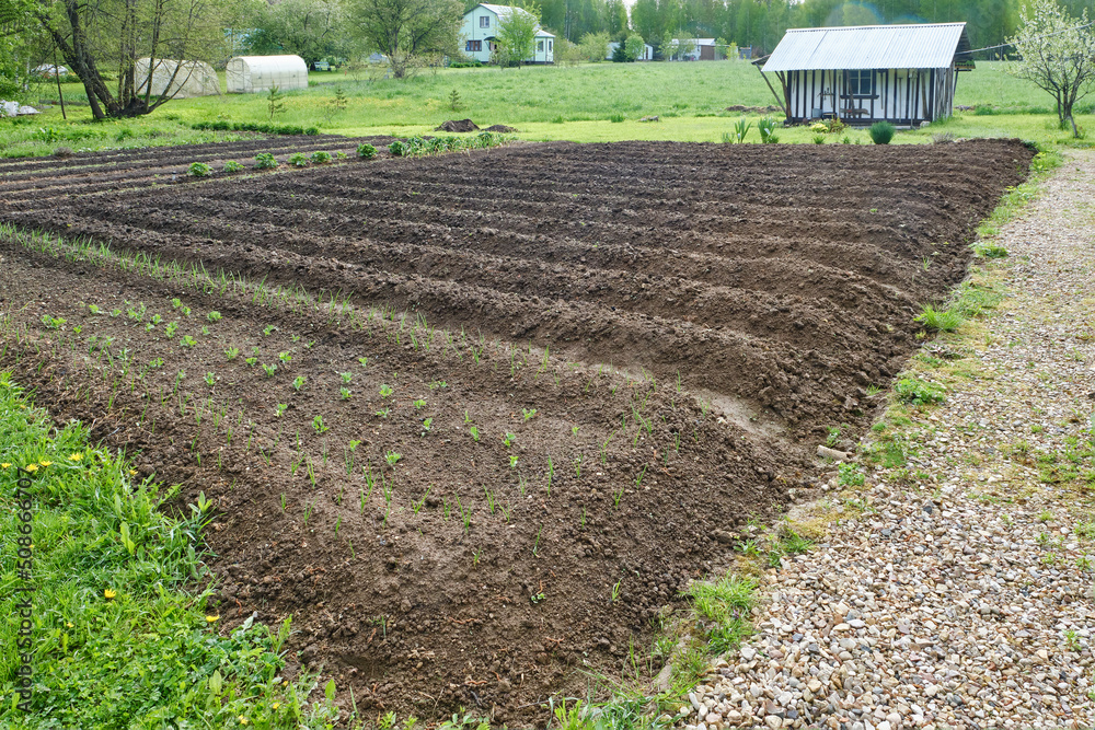 Plowing Garden Rows | Fasci Garden