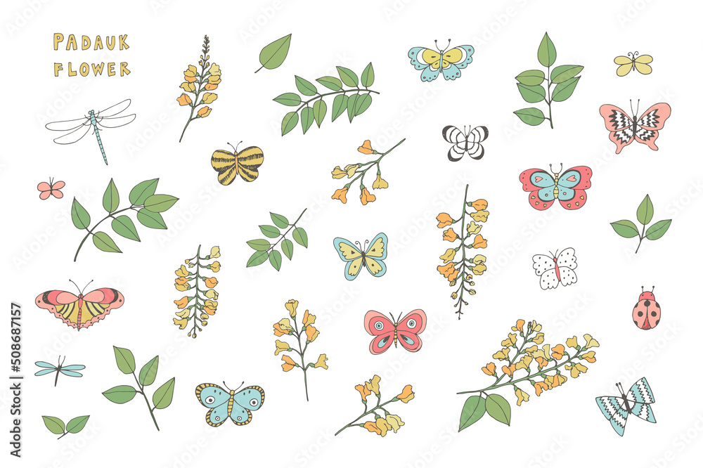 Padauk Flower and butterflies vector illustrations set white background ...