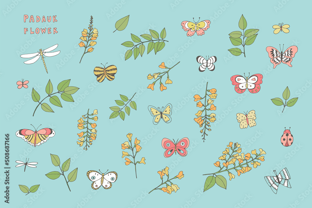 Padauk Flower and butterflies vector illustrations set Stock Vector ...