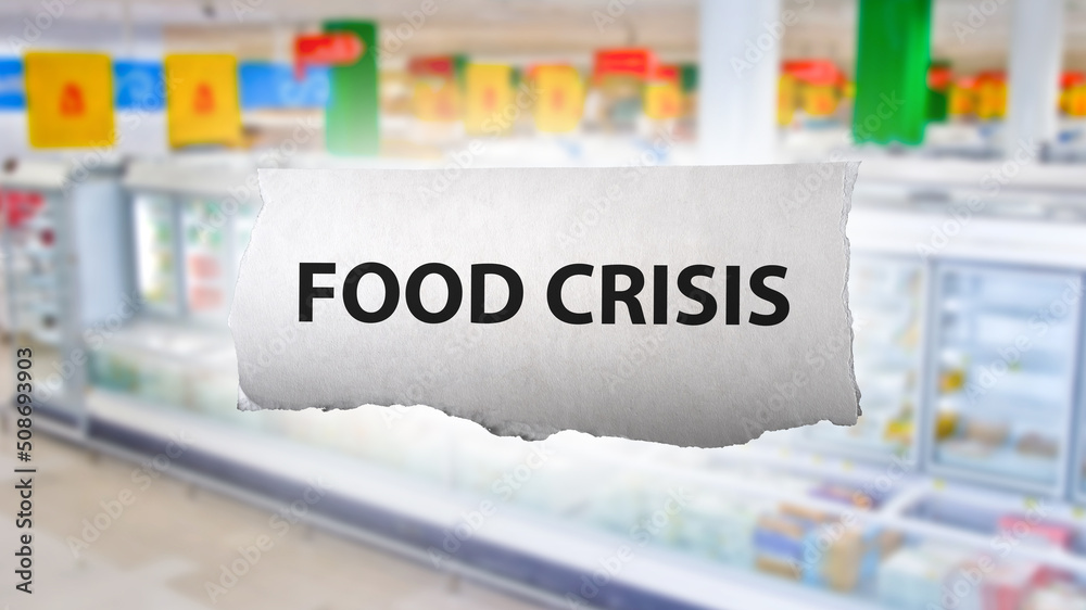 Food crisis. Humanitarian problem. Food shortage crisis. Food crisis ...