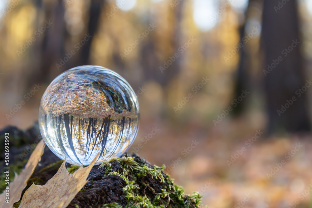 A look at the upside-down world through a ball. The crystal ball lies ...