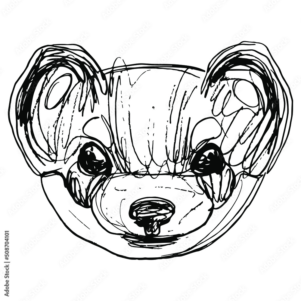 Face of a stoat or short tailed weasel. Eurasian ermine. (Mustela ...