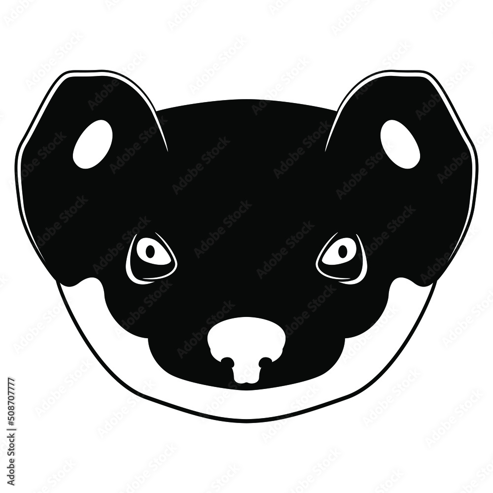 Face of a stoat or short tailed weasel. Eurasian ermine. (Mustela ...