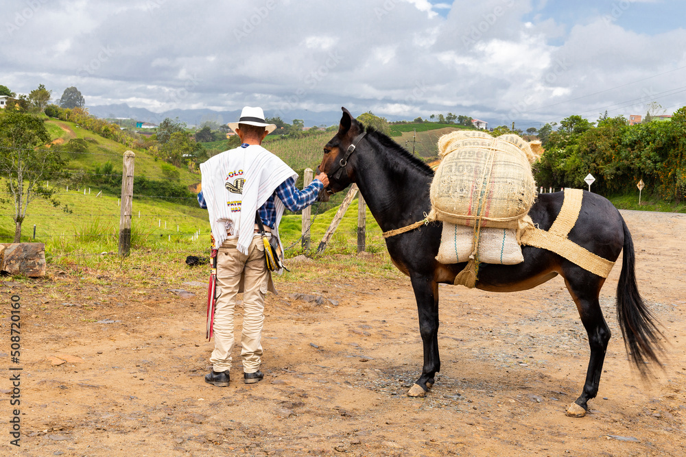 Antioquian muleteer with his mule with the load foto de Stock | Adobe Stock