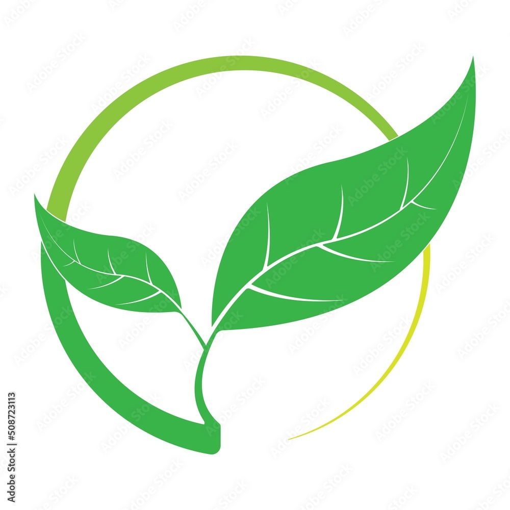 Green Leaf Logo Design
