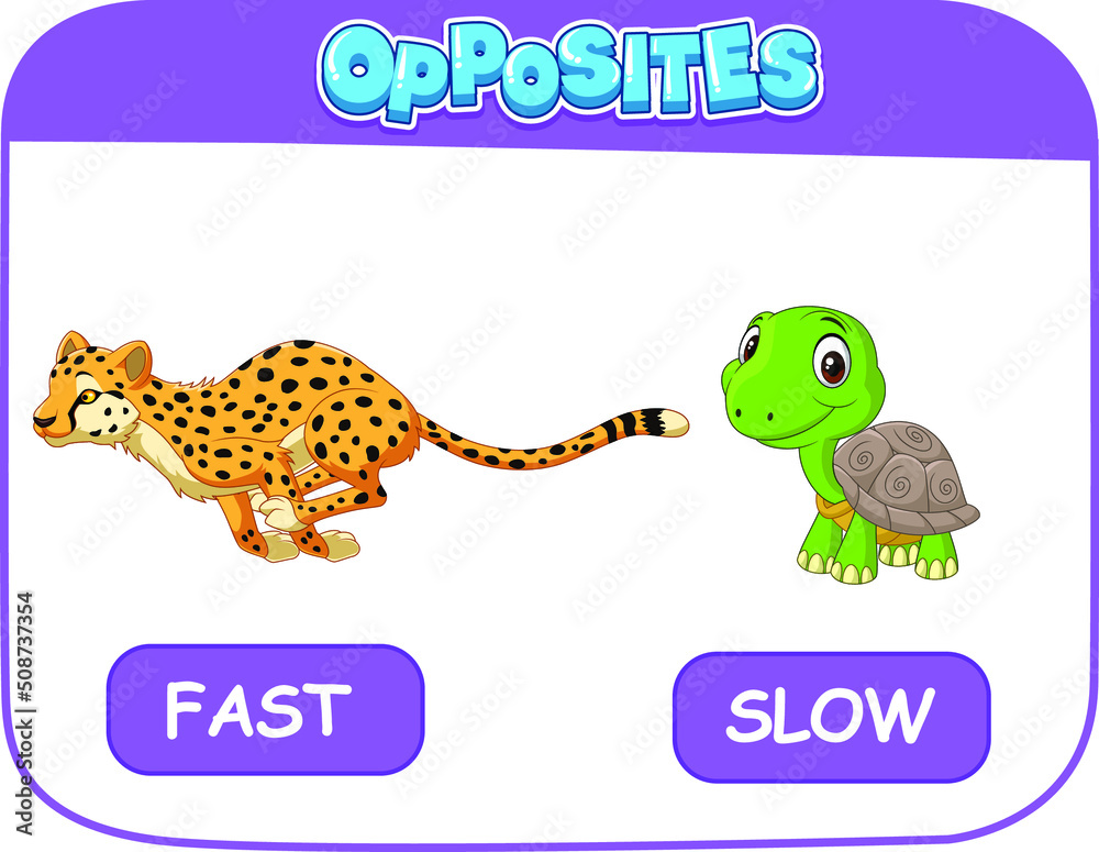 Fast And Slow Opposites