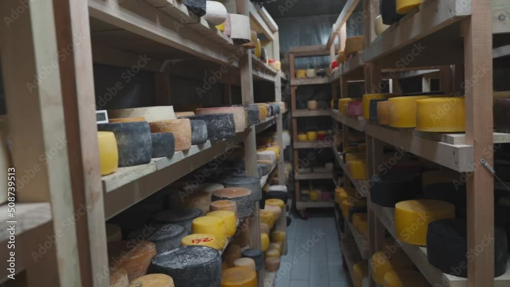 Farm cheese production. Cheese of different varieties on the shelves in ...